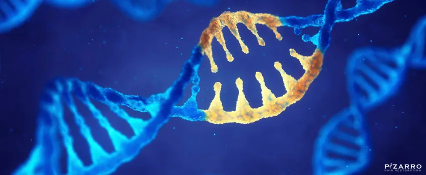 The Role of Family History in Hair Loss | Pizarro Hair Restoration
